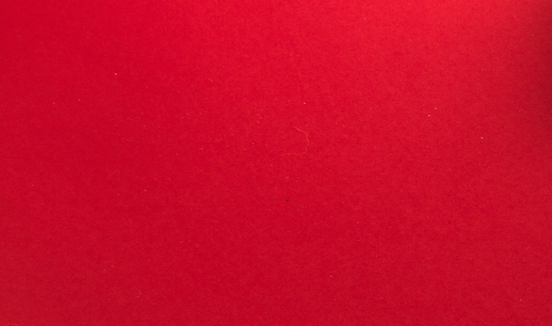 Christmas Collection | Firmoo.com